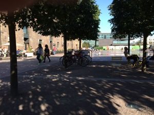 Remembering Rodney Fitch - Jim Northover